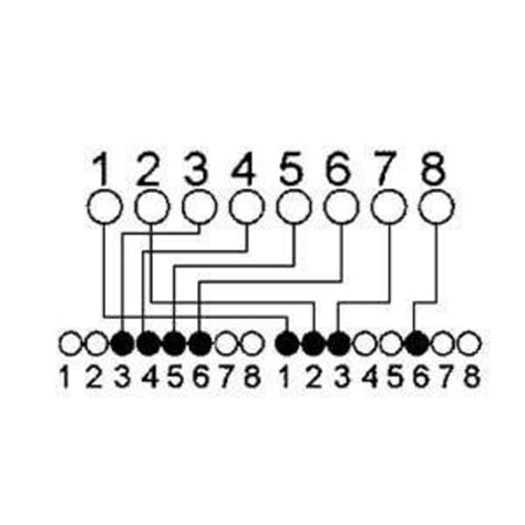 Stecker And Adapter Wirelex