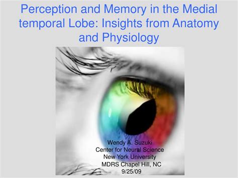Ppt Perception And Memory In The Medial Temporal Lobe Insights From Anatomy And Physiology