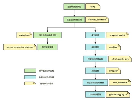 【数据分析】一套适合初学者的宏基因组数据分析过程的讲解 — Wanjin Hu 胡万金