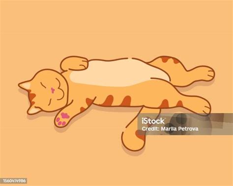 편안한 자세로 잠자는 생강 고양이 귀여운 빨간 얼룩 무늬 고양이는 신뢰를 반영하는 자세로 잔다 벡터 그림 고양이 새끼에 대한