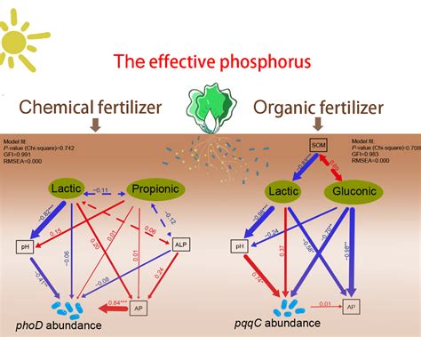Organic Fertilizers Shape The Bacterial Communities Harboring Pqqc And Phod Genes By Altering