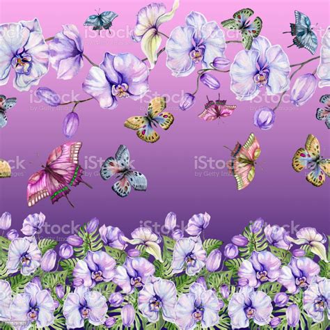 아름다운 이국적인 난초 꽃 몬스타 잎과 배경에 나비를 비행 매끄러운 열대 꽃 무늬 테두리 수채화 그림입니다 손으로 그린