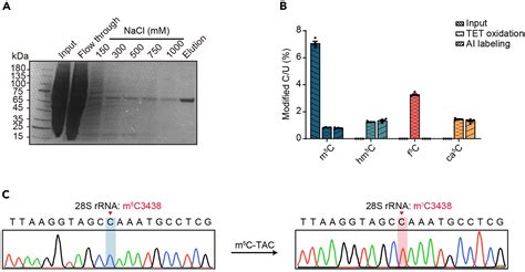 Cell Press Star Protocols