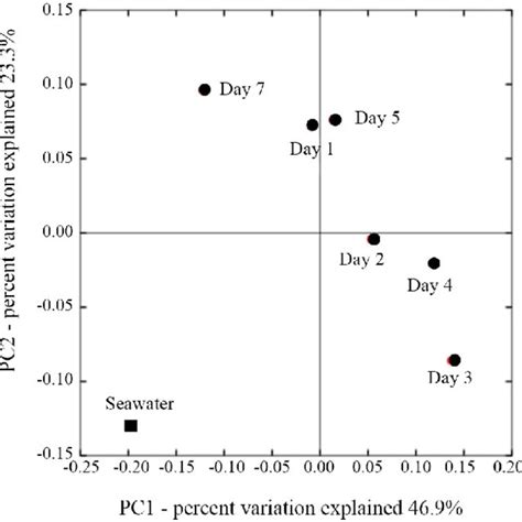 Principal Coordinates Analysis Pcoa Of Bacterial Communities By Download Scientific Diagram
