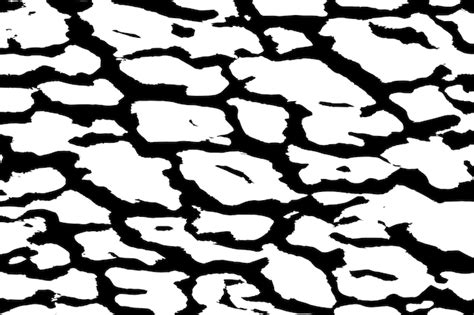 Premium Vector Monochrome Texture