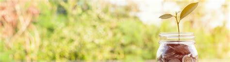 Self Employed Persons Mpfa