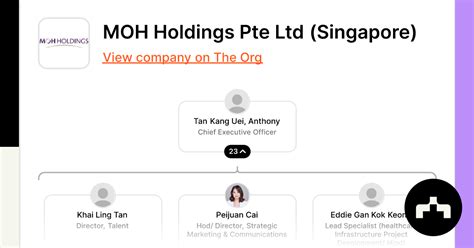 Moh Holdings Pte Ltd Singapore The Org