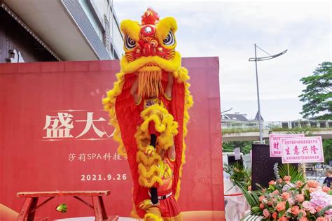 舞狮表演 专业梅花桩表演团队深圳市龙飞醒狮文化传播有限公司