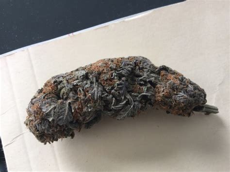 Pineapple Aka Pineapple Og Weed Strain Information Leafly