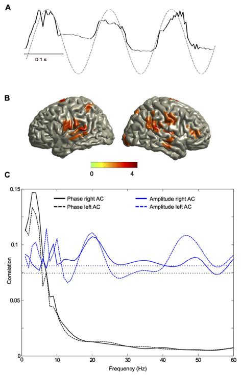 Oscillatory Speech Sampling A Speech Envelope Black Line And Download Scientific Diagram
