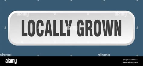 Locally Grown Button Locally Grown Square 3d Push Button Stock Vector