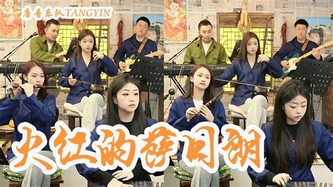唐音乐队 Cover《火紅的薩日朗》烏蘭托婭 草原最美的花 紅紅的薩日朗 癡情的人啊心上有了她 中國樂器 Chinese