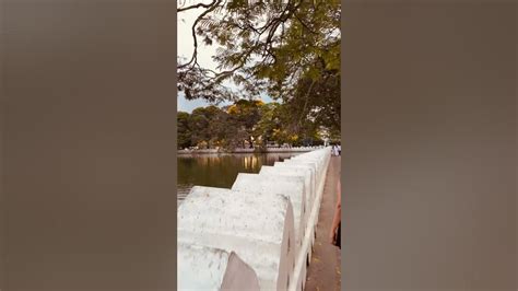 හිත පුරා මල් පිපෙන වසන්තය ඇවිදින් 🖤 Travel Nature Love Kandy Youtube