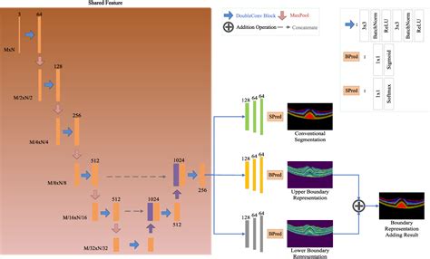 Figure 3 From Multi Task Dual Boundary Aware Network For Retinal Layer Segmentation Semantic