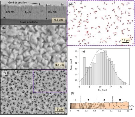 Sem Micrographs Of A Cross Section And B Planar Views Both Of