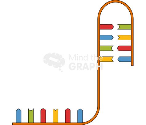 Free Guide Rna Icons Symbols Pictures And Images Mind The Graph Free Guide Rna Icons Symbols Pictures And Images Mind The Graph