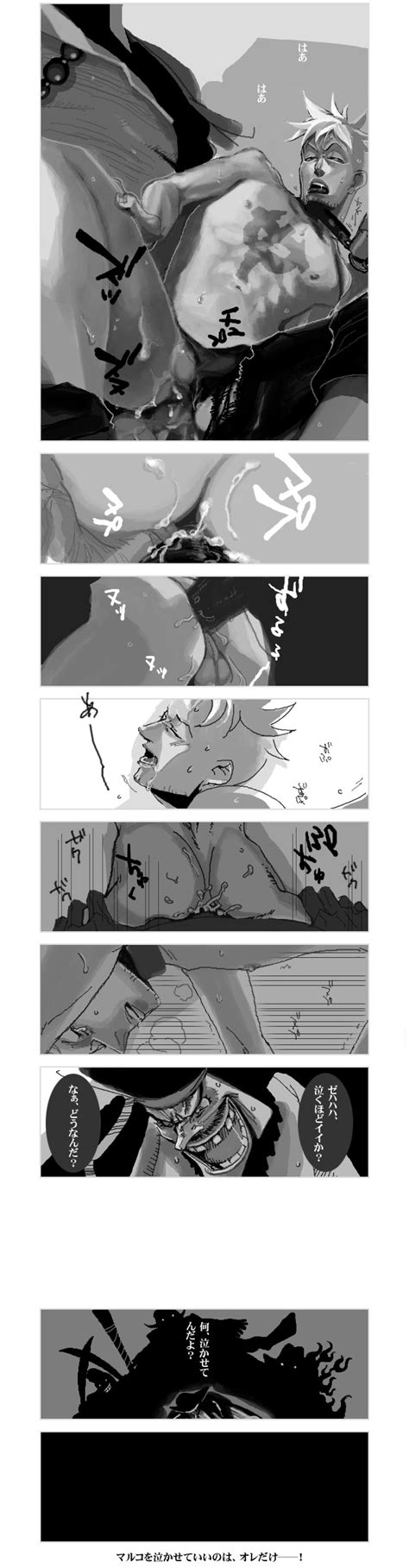Post 4432099 Marco Onepiece