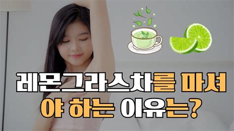 레몬그라스 효능 4가지 레몬그라스 Youtube