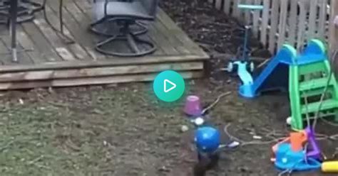 ᵂʰᵉᵉᵉᵉᵉᵉᵉᵉᵎᵎᵎ Album On Imgur