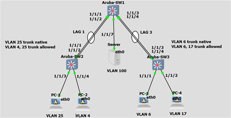 Switchport Trunk Native Vlan Aruba At Maddison Pickworth Blog