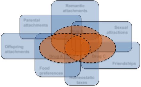 Neural Substrates Of Social Attachment And Addiction Substrates Of