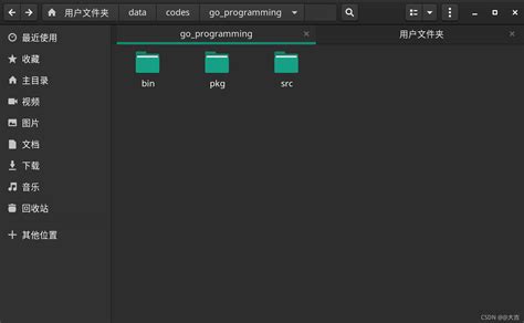 配置go环境（go的目录结构），使用vscode运行第一个go程序vscode 运行 Go Main Csdn博客