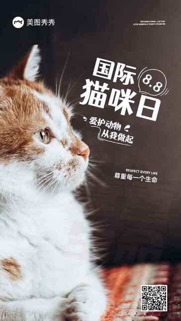 简约实景风国际猫咪日保护动物宣传教育海报美图设计室海报模板素材大全