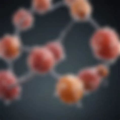 Amino Acid To Nucleotide Sequence Conversion Insights