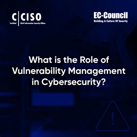 Effective Vulnerability Management Strategies Your Ultimate Guide