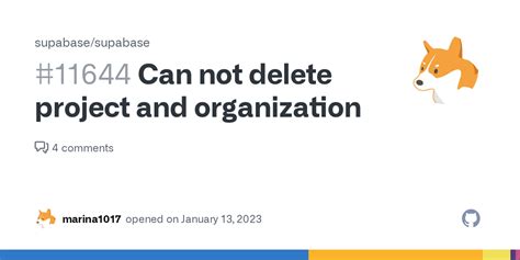 Can Not Delete Project And Organization Issue Supabase Supabase GitHub