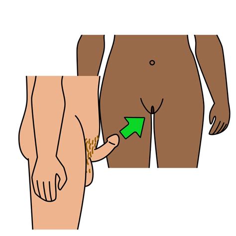 What Is Sex Aged Or Older Healthy Respect