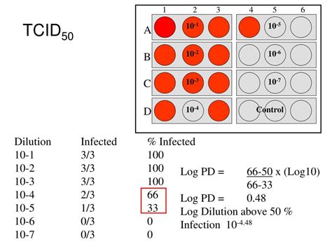 Ppt Virology Powerpoint Presentation Free Download Id 219845