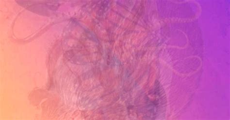 Hacemos Periodismo Infobae