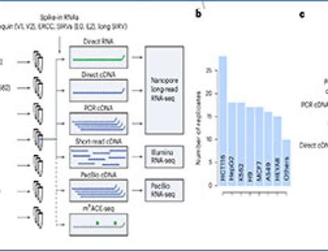 Scdist Robust Identification Of Perturbed Cell Types In Single Cell Rna Seq Data Rna Seq Blog