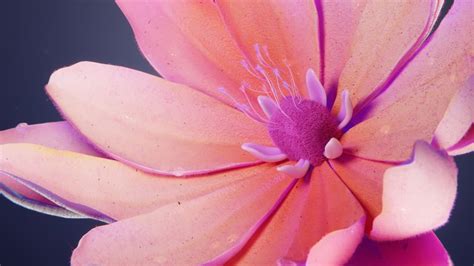 BlenderKit Get Free Paid Blender Add Ons On BlenderKit