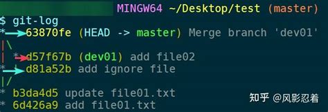 github（五）本地仓库：分支的创建与合并 知乎