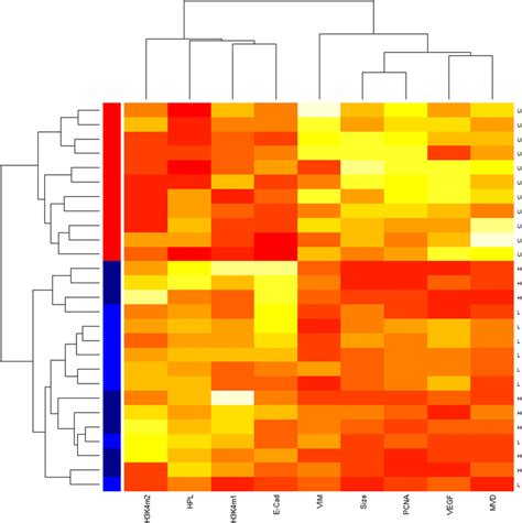 Hierarchical Clustering Heatmap Of Phenotypes Immunoreactivity Download Scientific Diagram