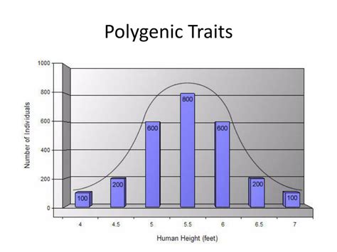 Ppt Honors Biology Chapter 7 Powerpoint Presentation Free Download Id2824291