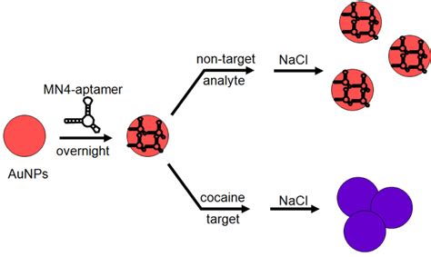 Design And Development Of Aptamergold Nanoparticle Based Colorimetric