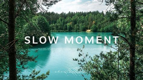 푸른 숲과 호수가 들려주는 한여름의 시원한 멜로디💦 Youtube