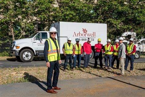 Comprehensive Tree Services In Seattle Arborwell Tree Management