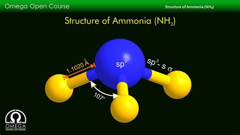 Ammonia Molecule Size