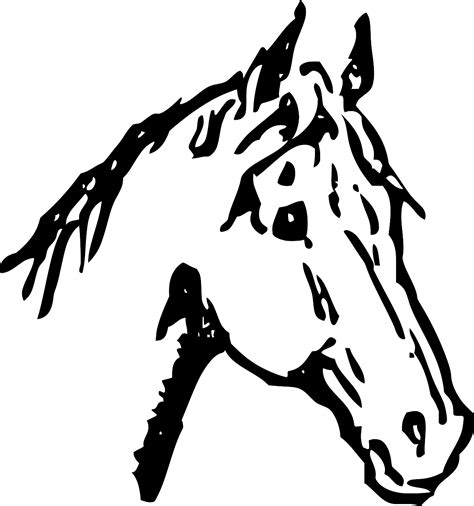 Svg Mane Head Horse Free Svg Image And Icon Svg Silh