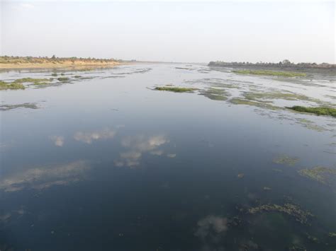 Wainganga River Threatened Lifeline Of Vidarbhas Forests Sandrp
