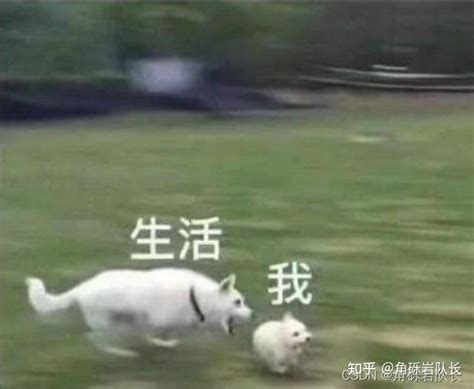 Arcgis1041属性表导出为乱码解决方法（亲测有效） 知乎