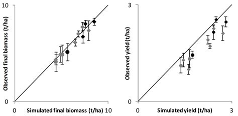 4 Observed Versus Simulated Dry Above Ground Biomass At Maturity