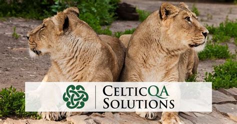 Qa Friend Or Foe To Development Celticqa Solutions
