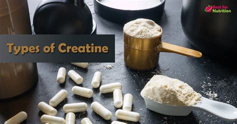 10 Different Types Of Creatine Which One Is Best