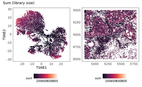 Introduction To Imaging Based Spatial Transcriptomics Analysis 10x