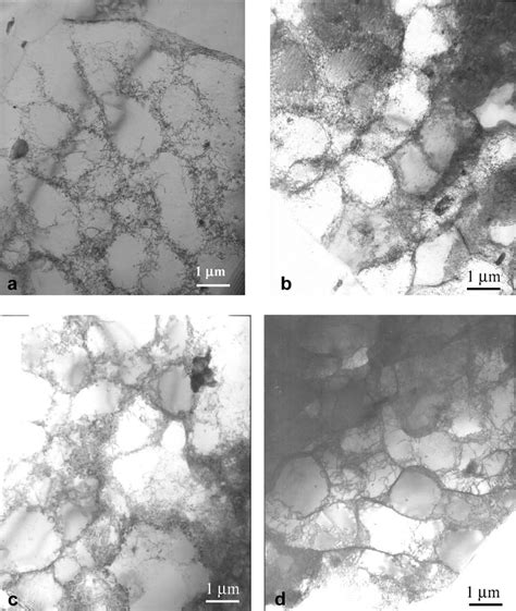 Dislocation Structure Evolution During Cycling At Do Pl 2 0 6 25 10 Download Scientific